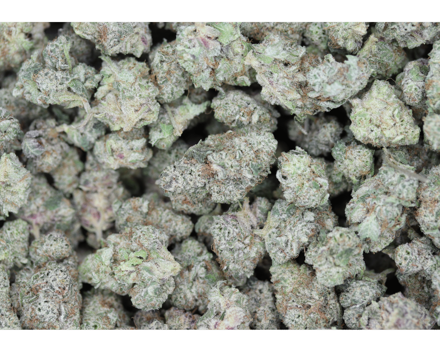 Buy Poison OG Smalls (1/2lb) Online | Cannabis Dispensary