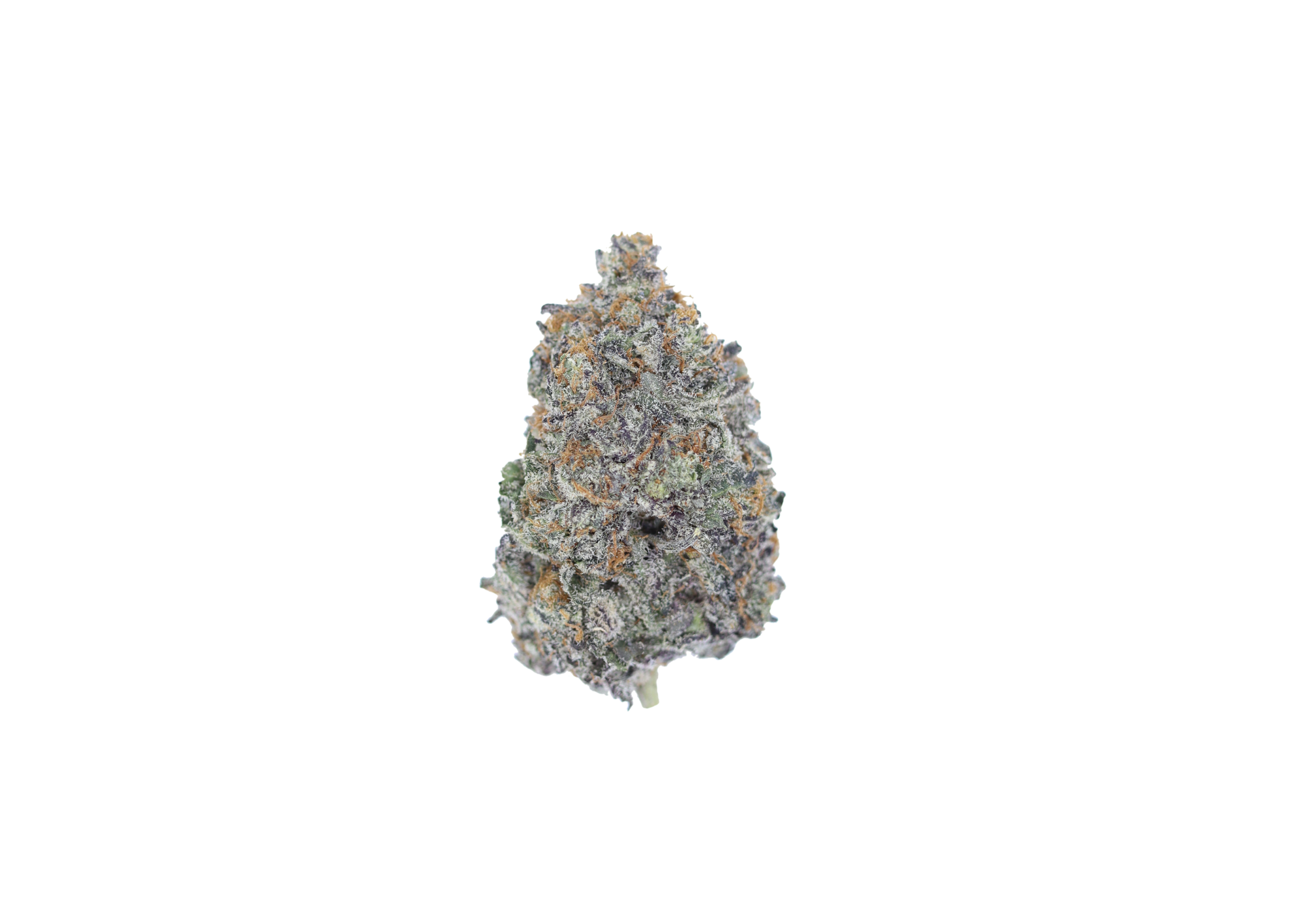 Buy Purple Octane Online | Cannabis Dispensary