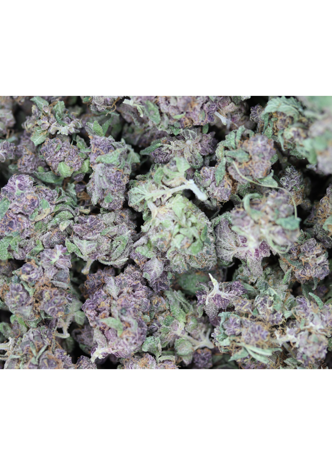 Buy Purple Tangie Small Online | Cannabis Dispensary