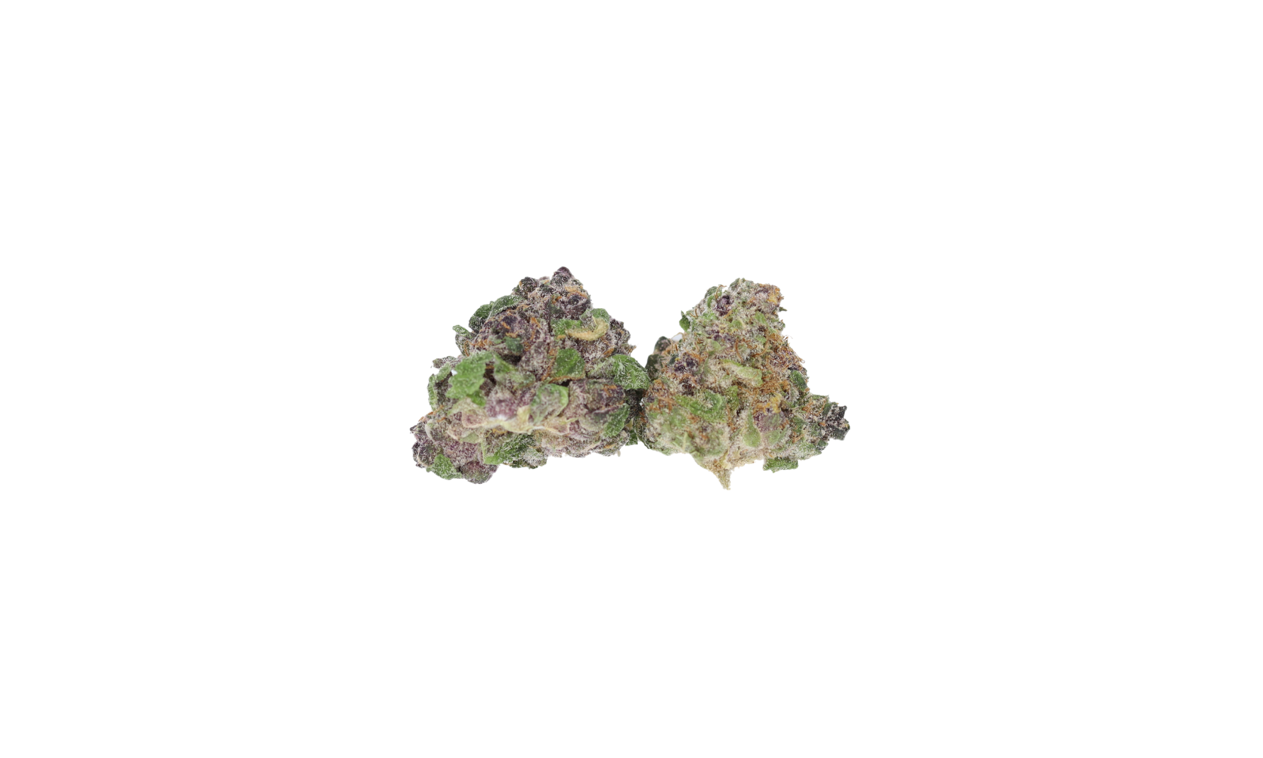 Buy Purple Tangie Small Online | Cannabis Dispensary