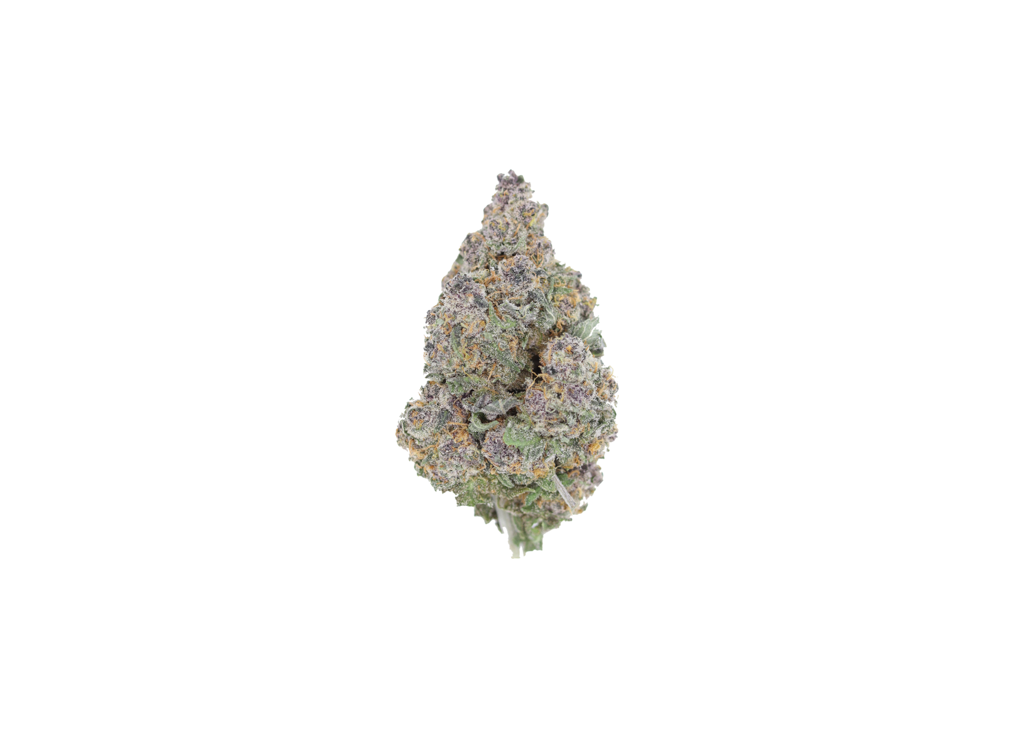 Buy Tropical Cookies Online | Cannabis Dispensary