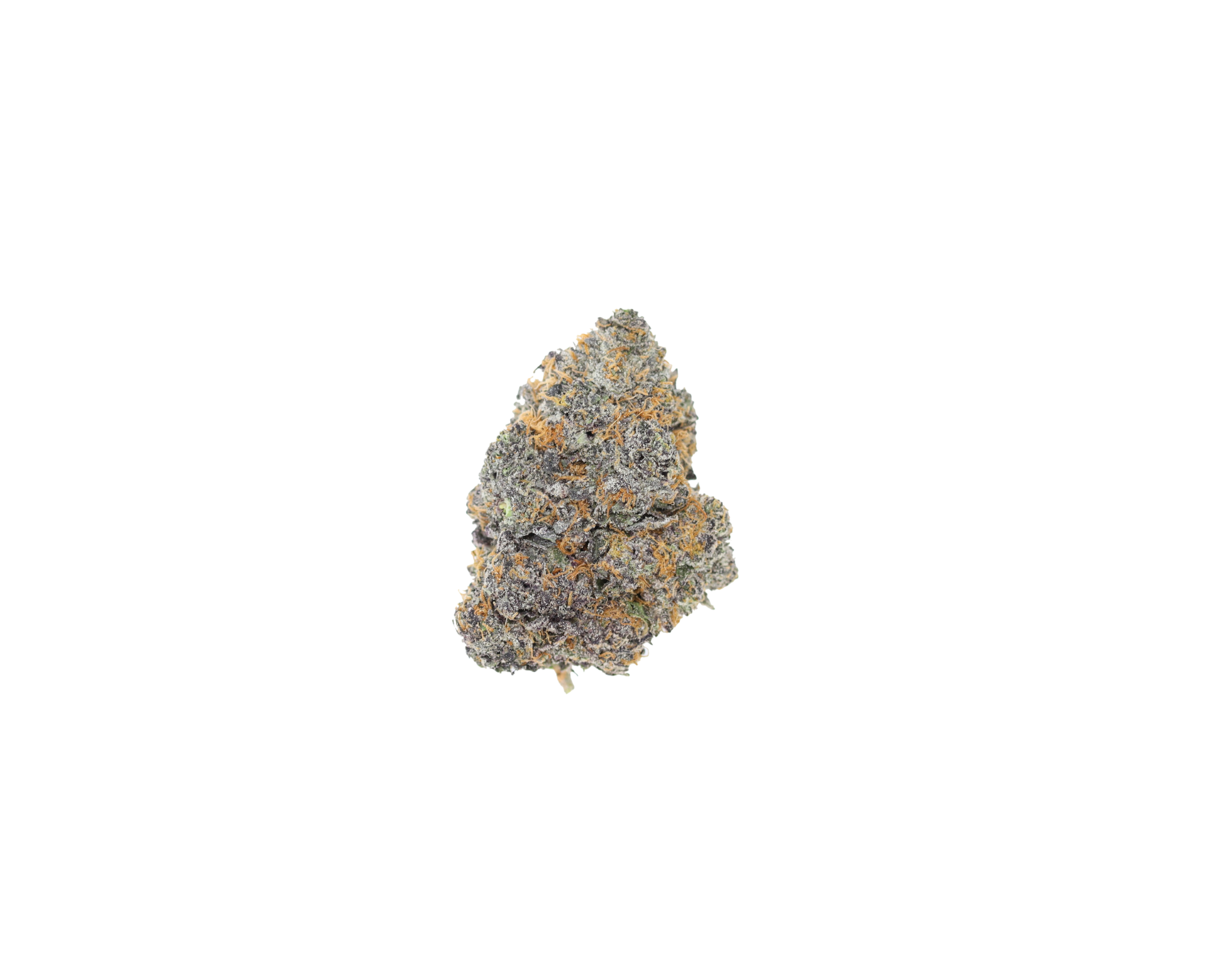 Buy Bacio Gelato (1/2lb) Online | Cannabis Dispensary