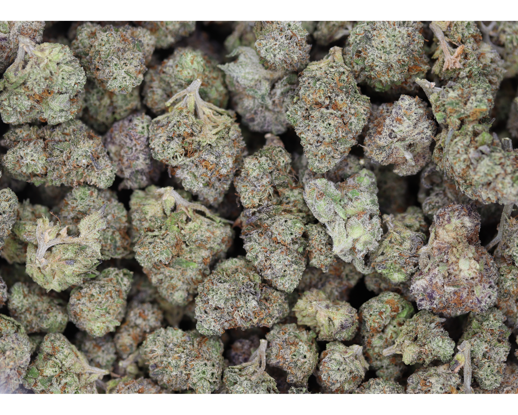 Buy Money Maker Smalls Online | Cannabis Dispensary