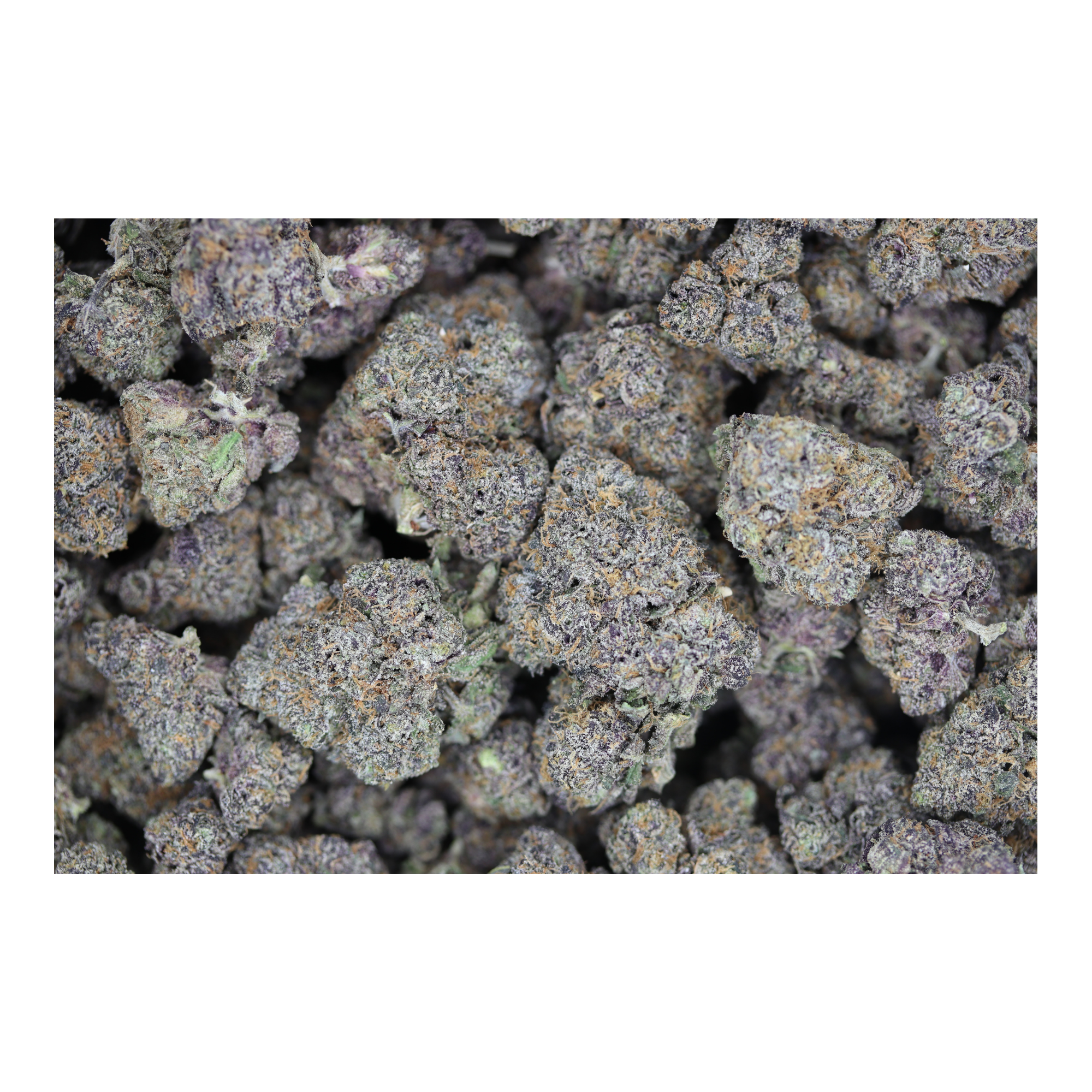 Buy Bacio Gelato (1/2lb) Online | Cannabis Dispensary