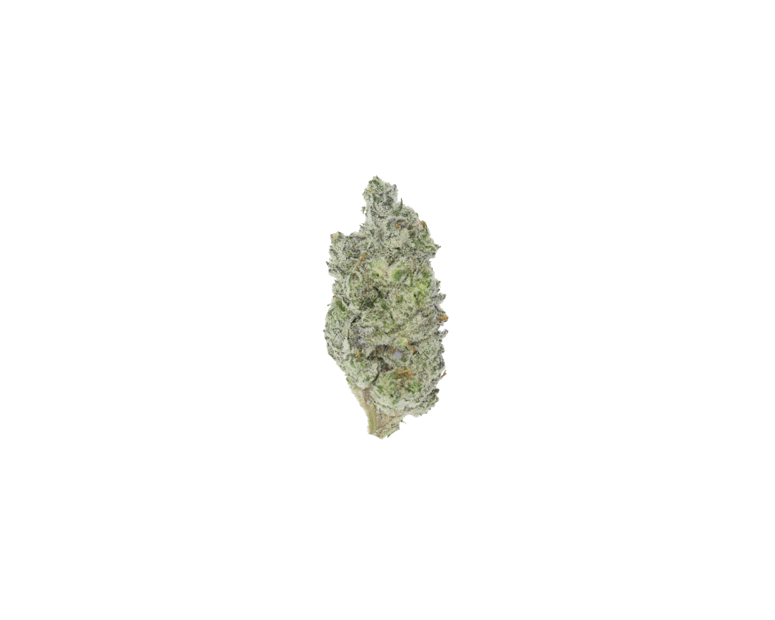 Buy Guava Online | Cannabis Dispensary