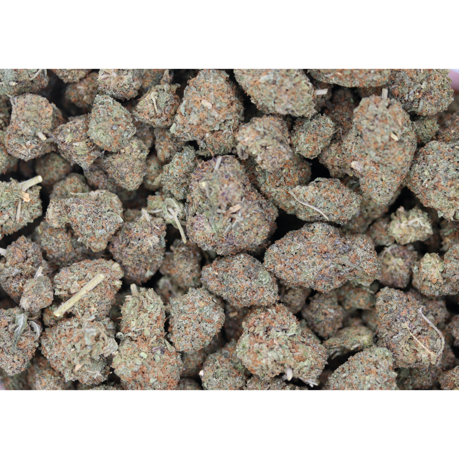 Buy Frosted Ice (1/2lb) Online | Cannabis Dispensary