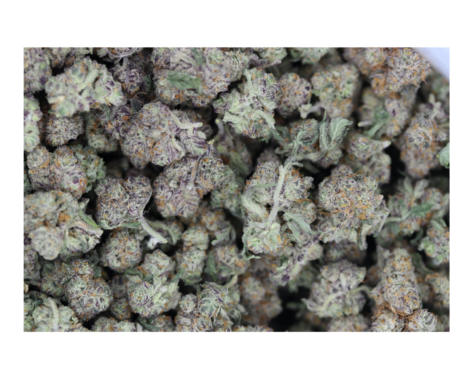Buy Grape Ape Smalls (1/2lb) Online | Cannabis Dispensary