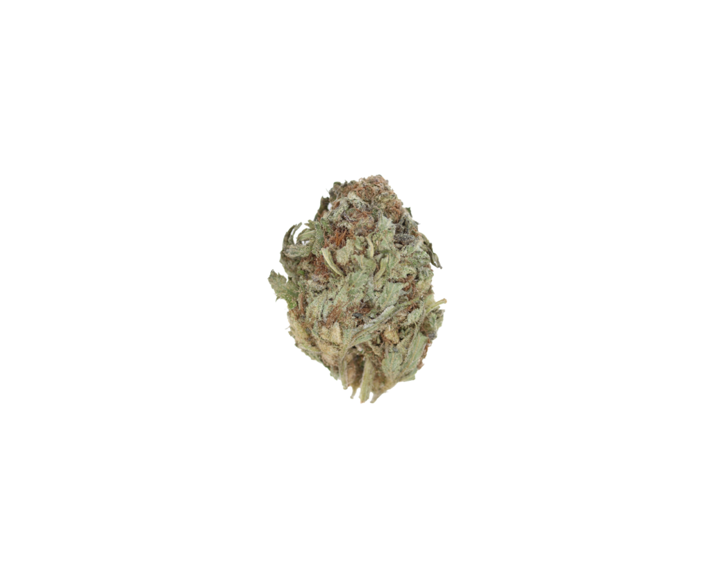 Buy Orange Poison (1/2lb) Online | Cannabis Dispensary